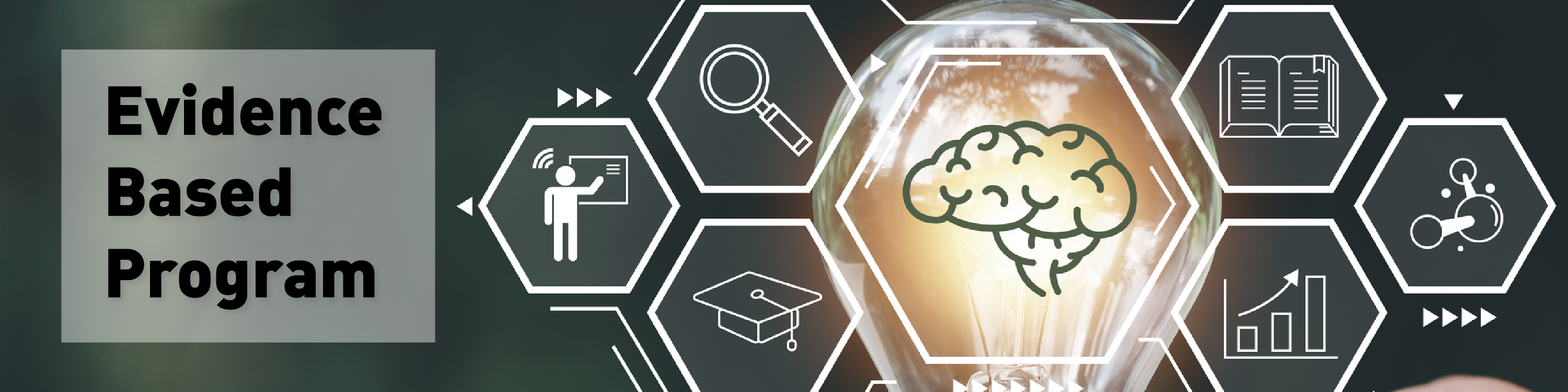 Evidence Based Program