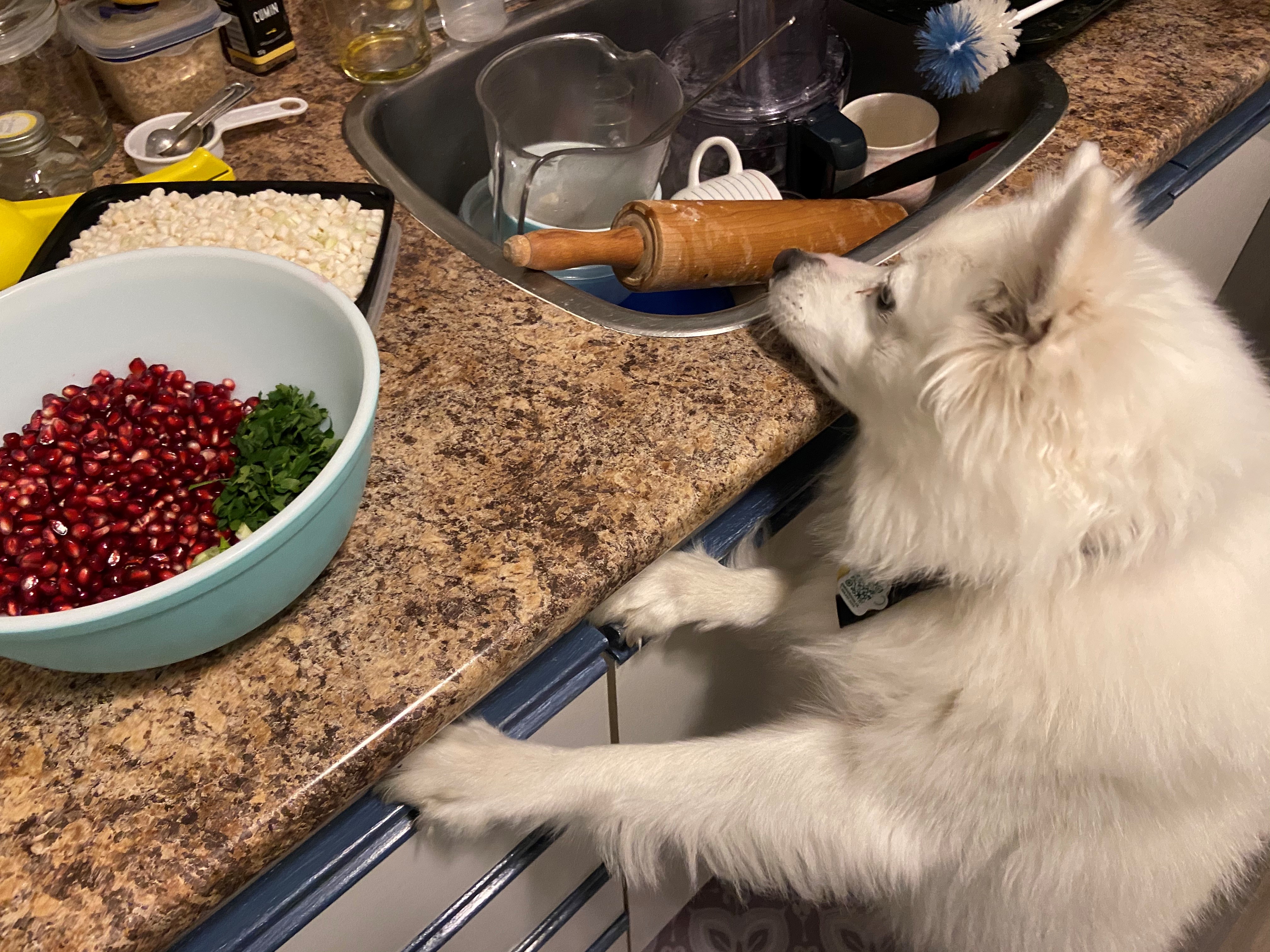 CMCC Virtual Cooking